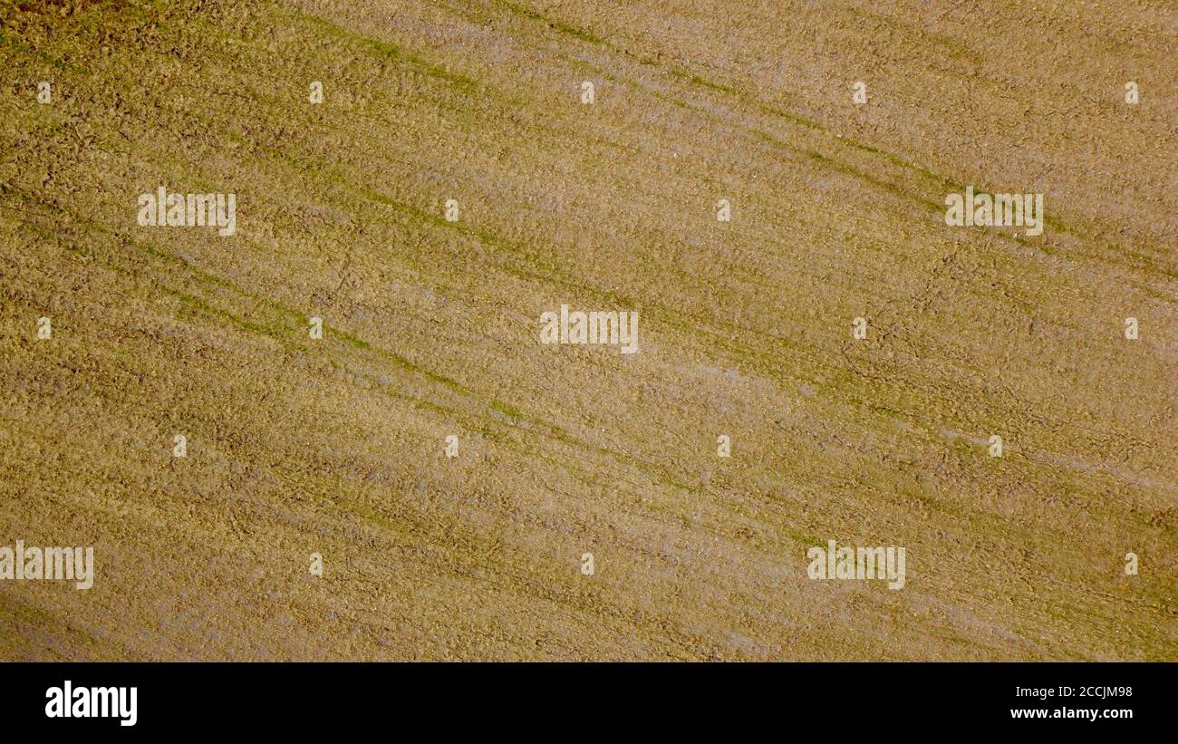 a threshed field photographed with the drone Stock Photo - Alamy