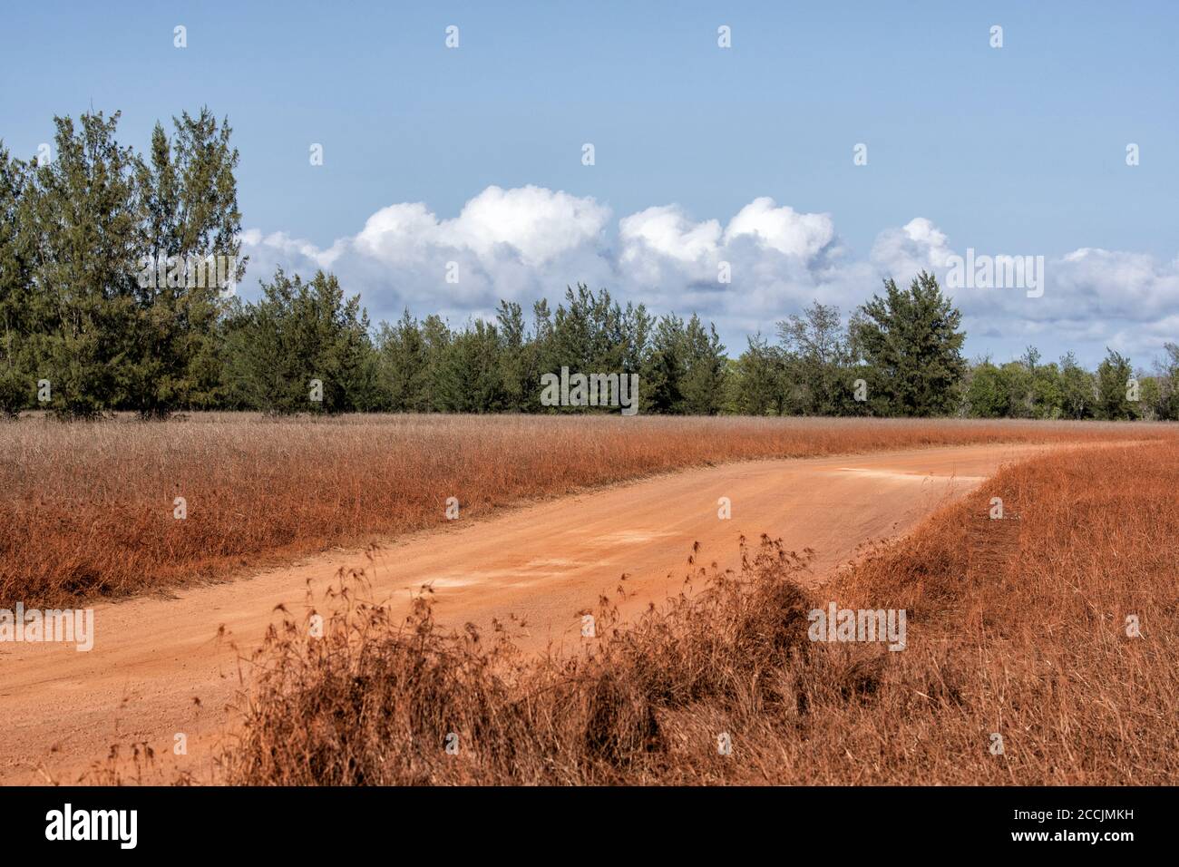 Red dirt track winding through Cobourg Peninsula, Arnhem Land, Northern ...