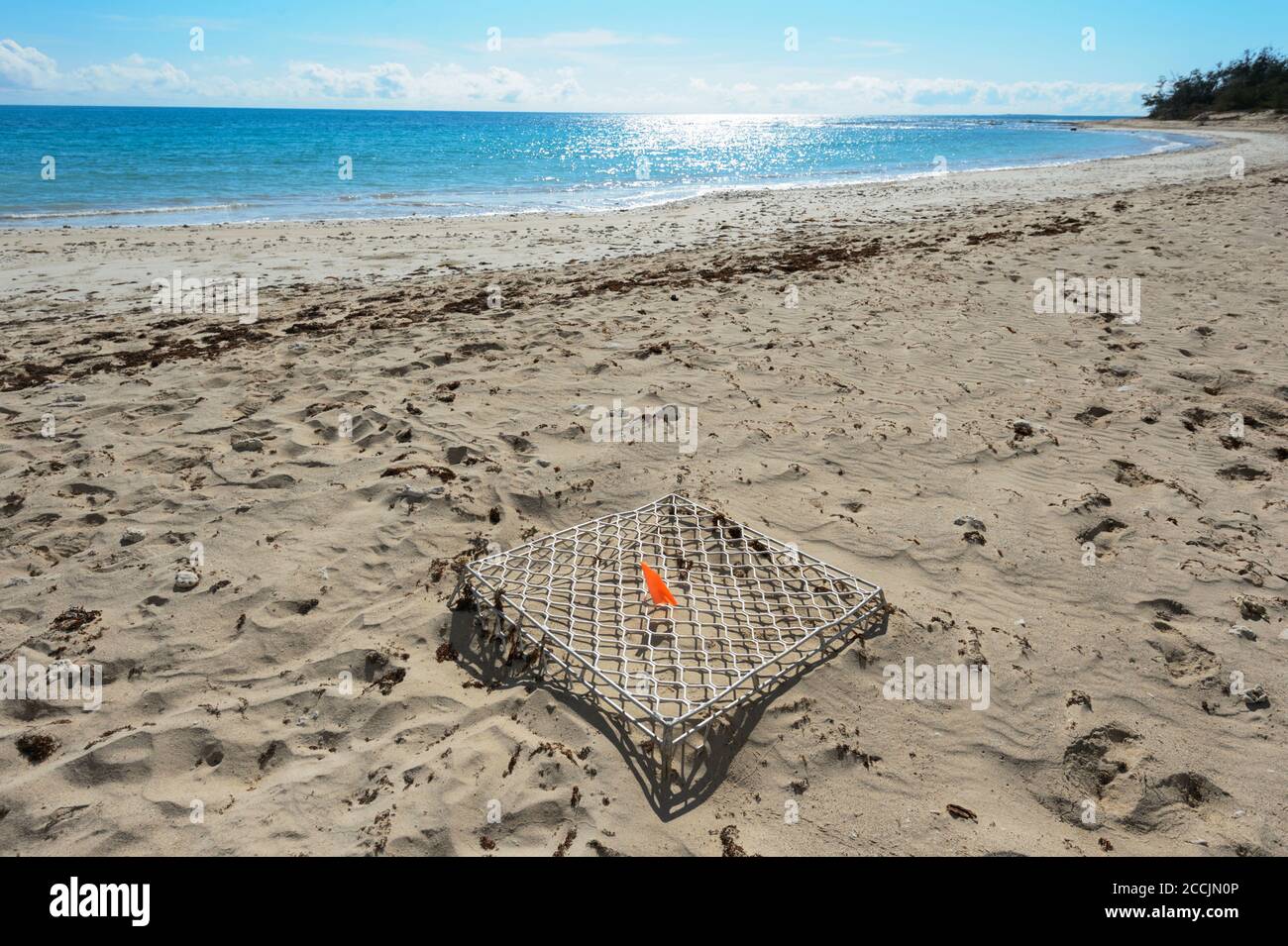 Protection of the territory hi-res stock photography and images - Alamy