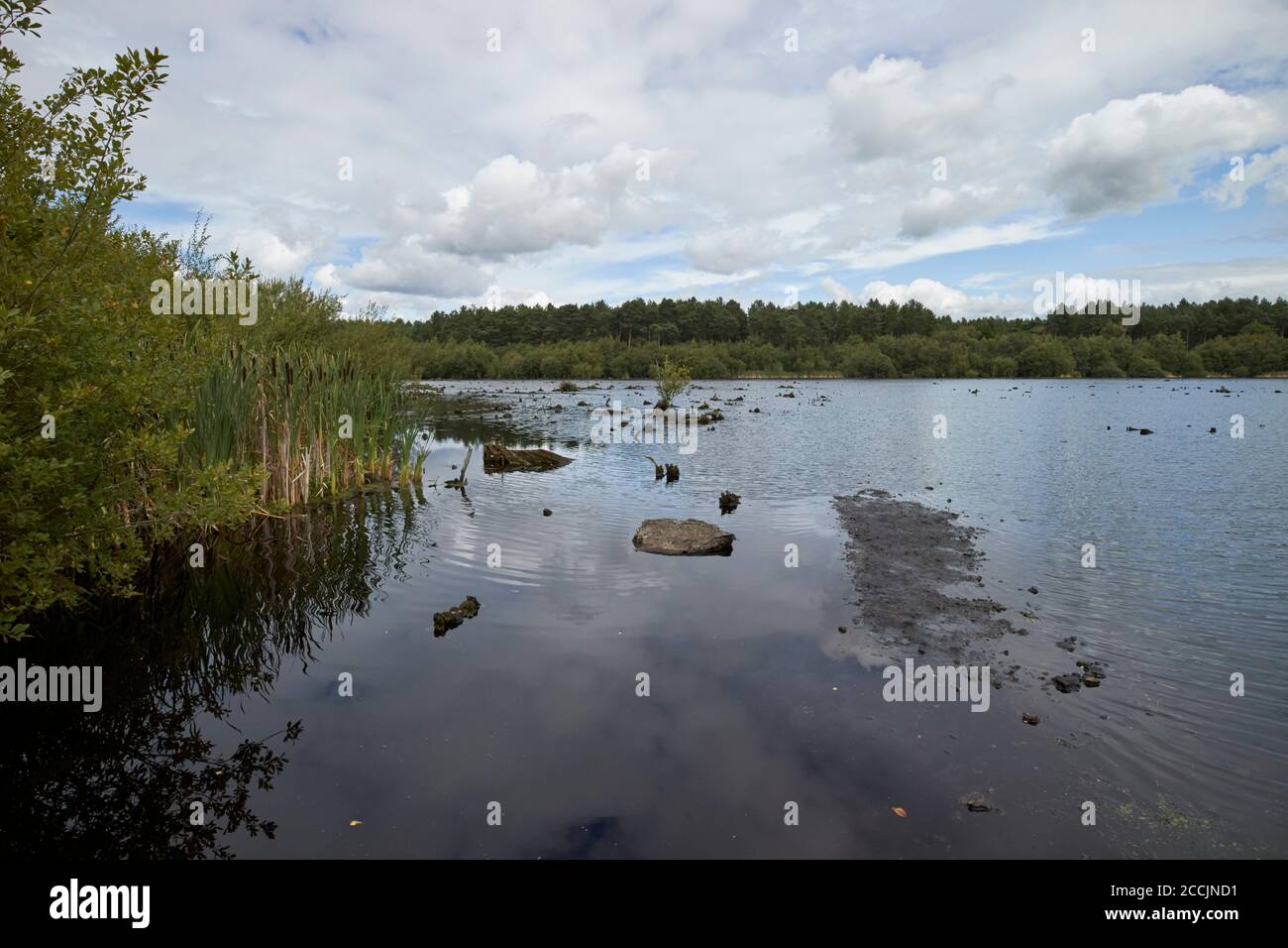 blakemere moss lake in delamere forest cheshire england, uk Stock Photo ...