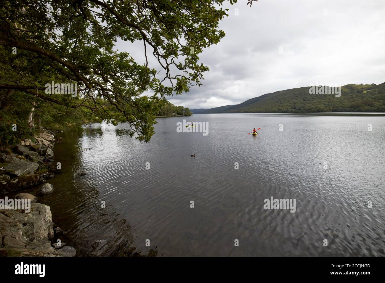 two kayakers on coniston water coniston lake district, cumbria, england ...