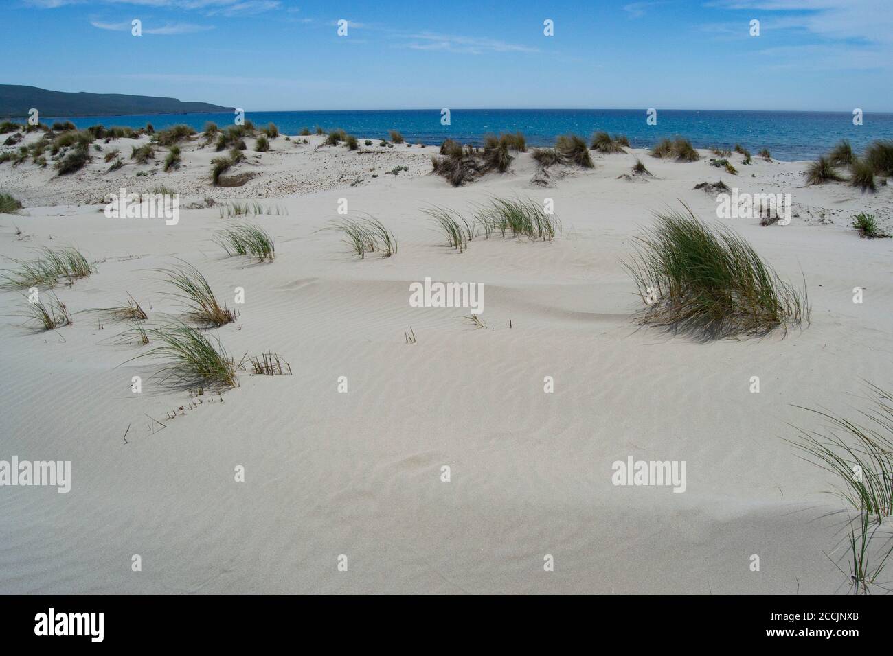 View of Arenas Biancas beach and his dunes Stock Photo - Alamy