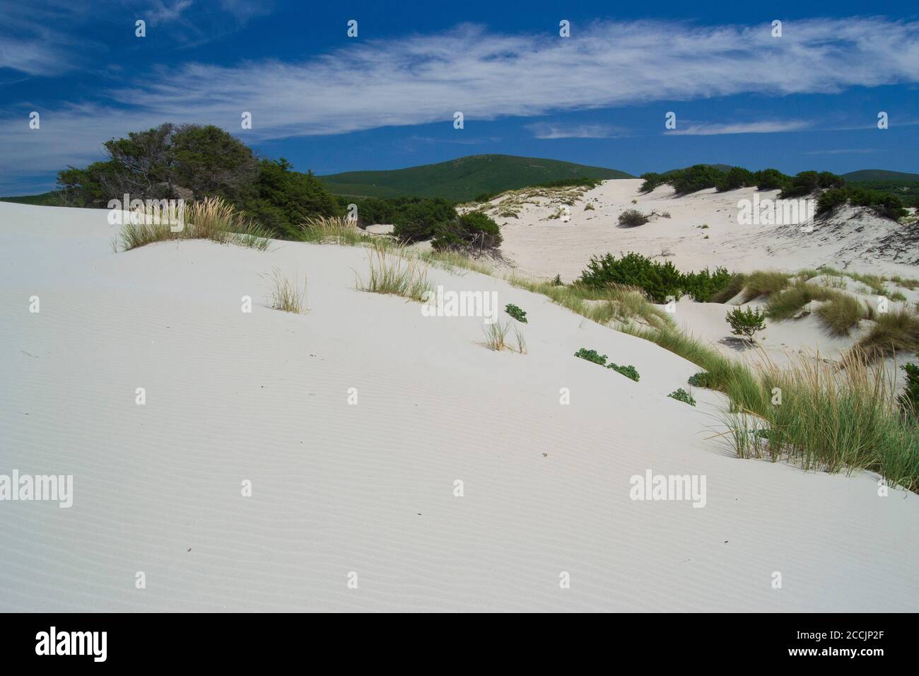 View of Arenas Biancas beach and his dunes Stock Photo - Alamy