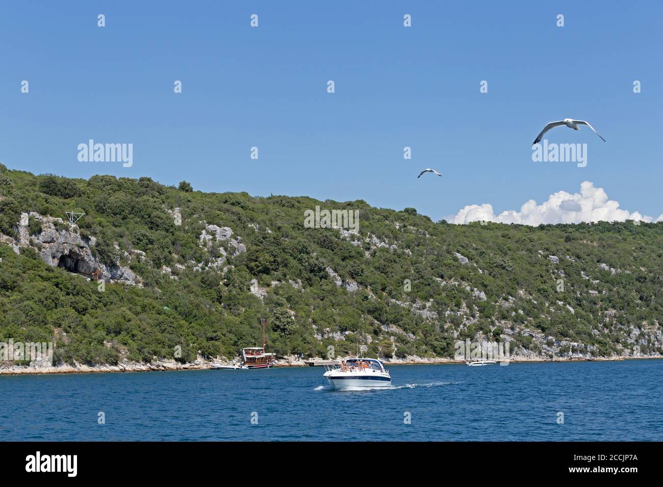 Lim hi-res stock photography and images - Alamy