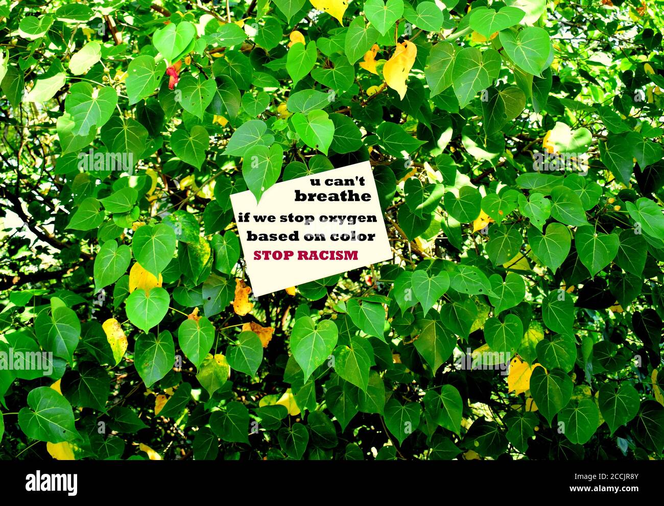 Stop Racial Discrimination Quotes