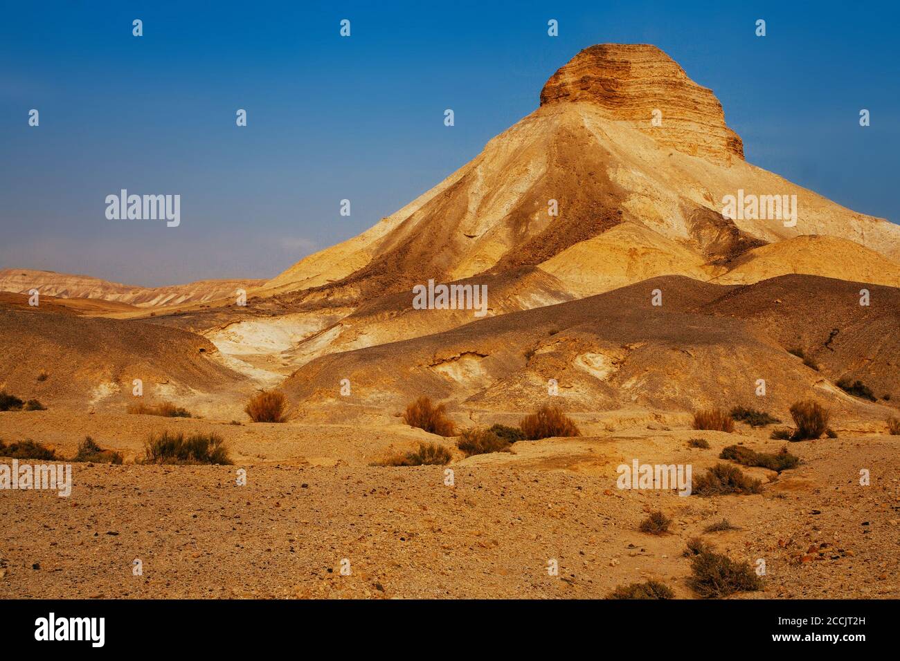 Landscapes of Israeli desert under the blue sky in daytime Stock Photo ...