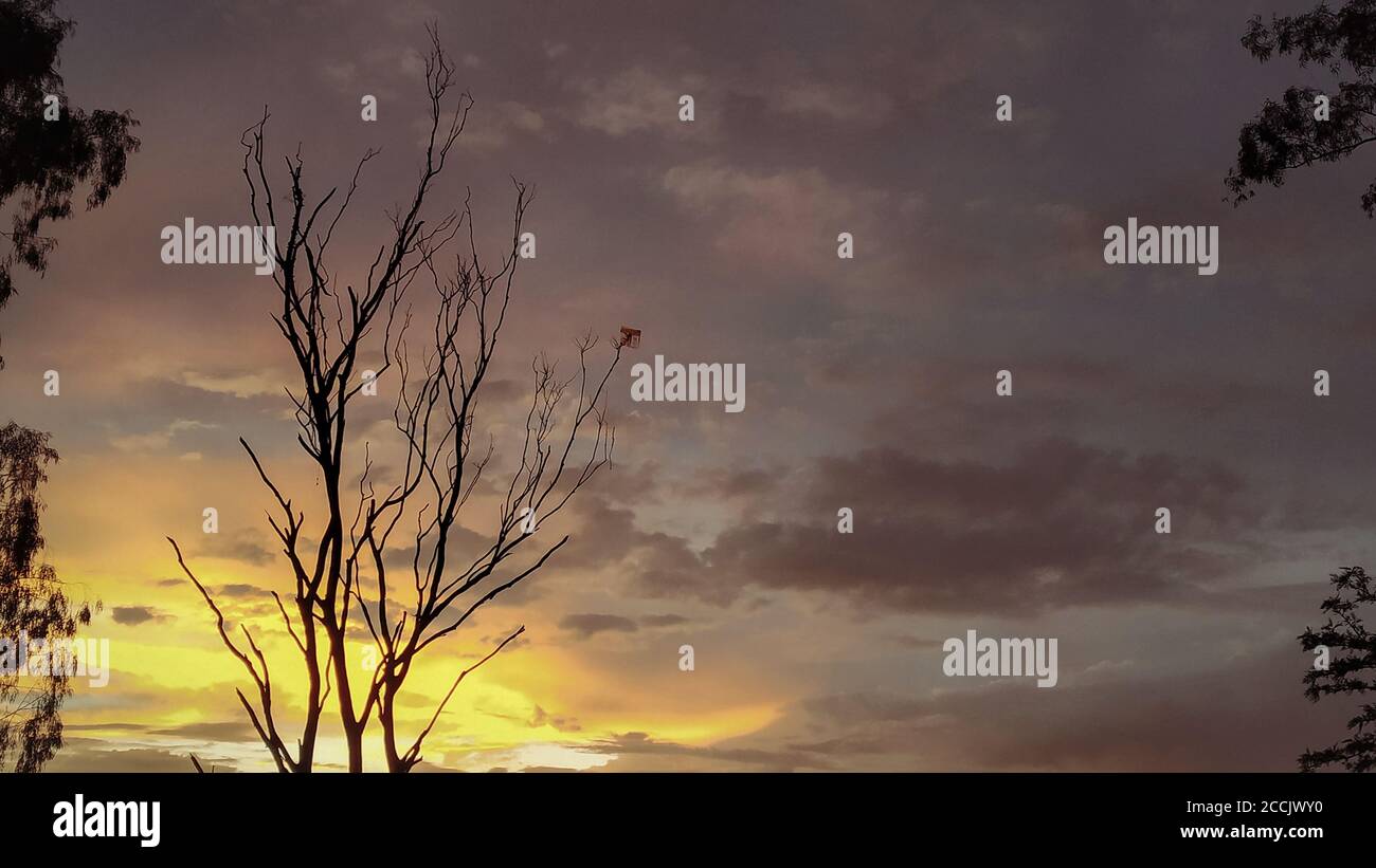 Trees framing the shot hi-res stock photography and images - Alamy