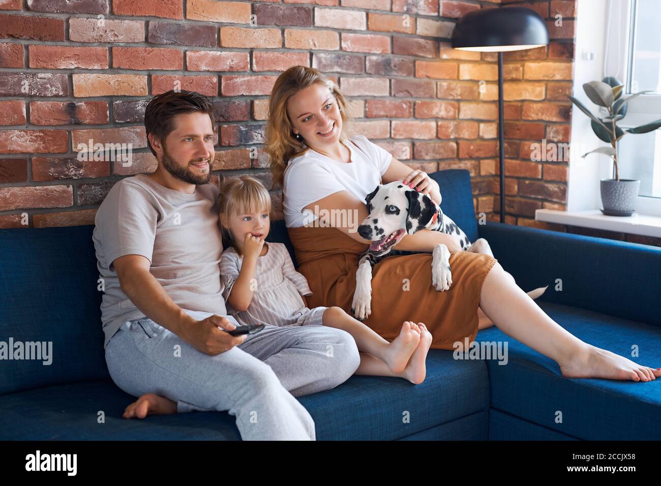 friendly family with dog pet watch interesting film on tv, interestedly ...