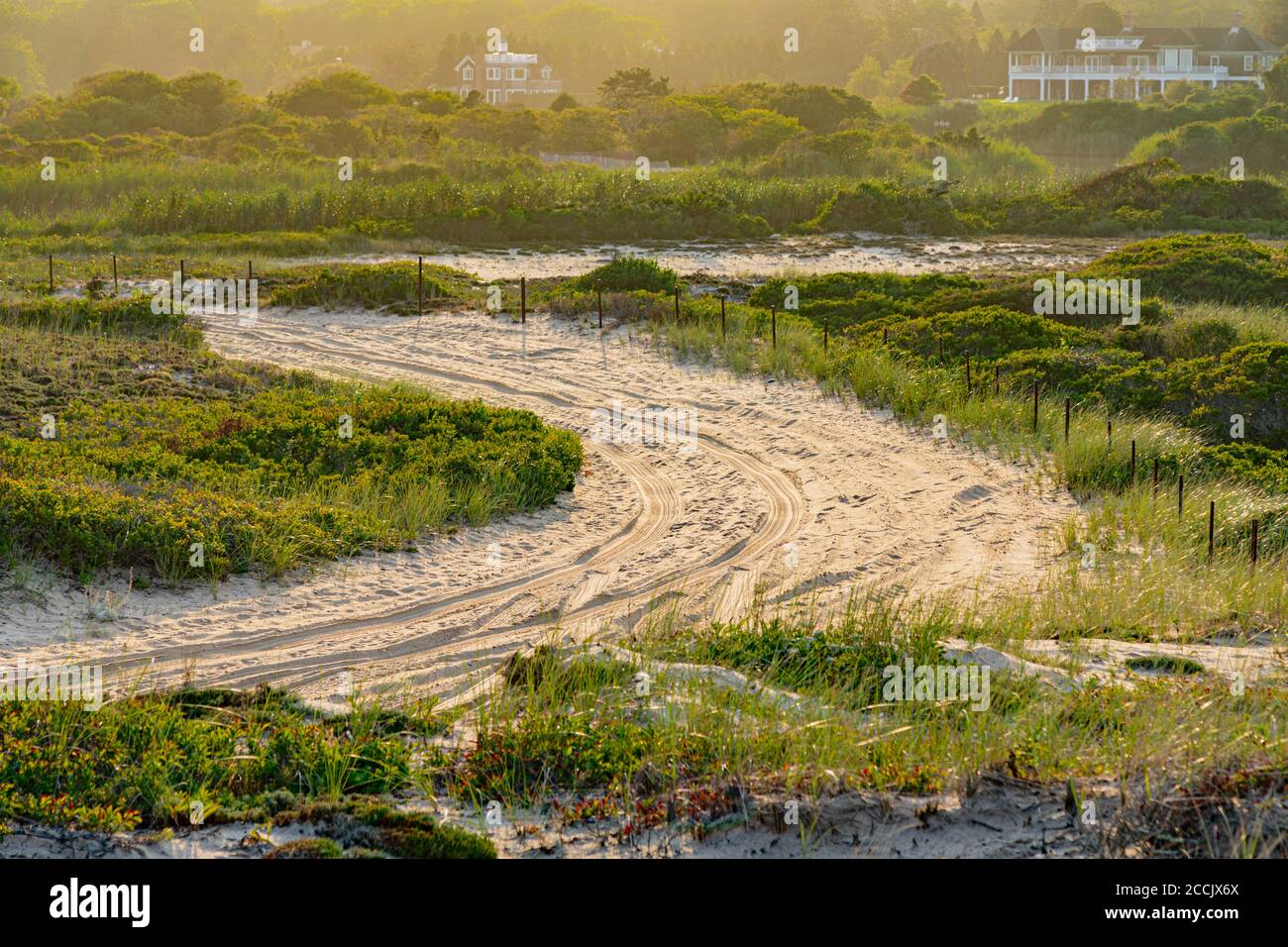 Dunes beach on east hi-res stock photography and images - Alamy