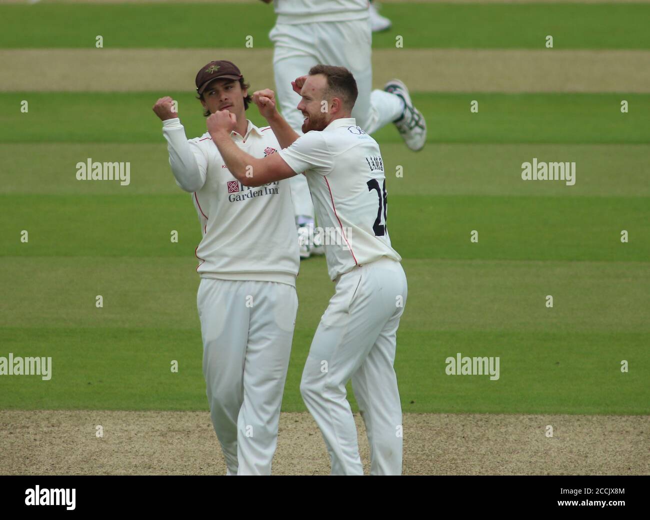 Cricket lamb hi-res stock photography and images - Alamy