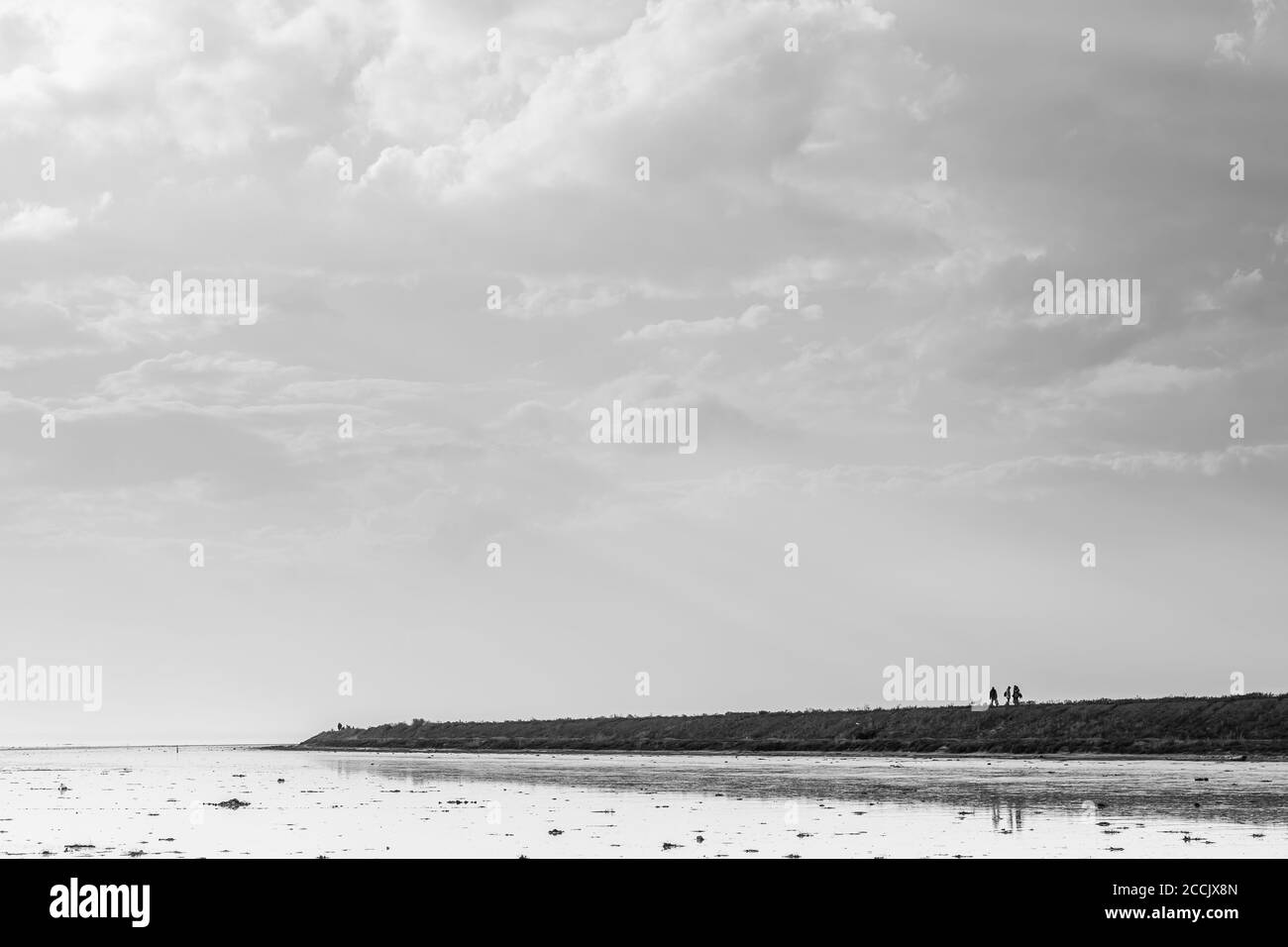 Sunset near beach in Black and White Stock Photos & Images - Alamy