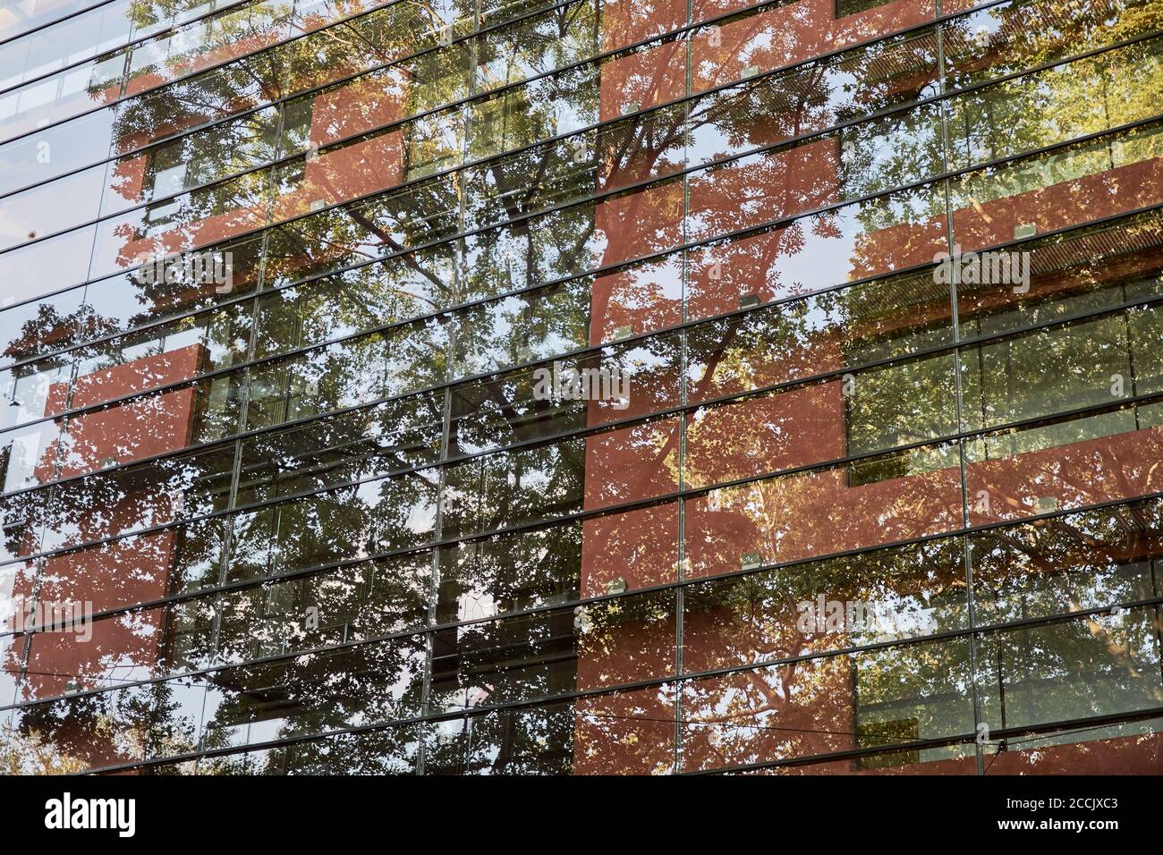 Tree reflection glass hi-res stock photography and images - Alamy