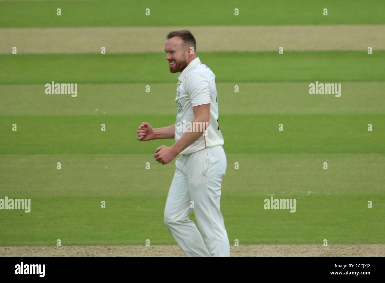 Cricket lamb hi-res stock photography and images - Alamy