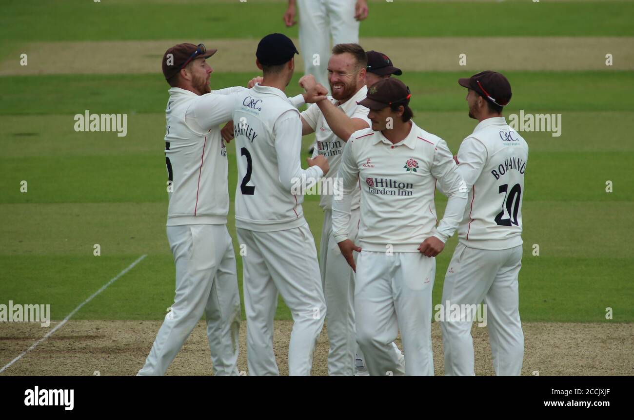 Cricket lamb hi-res stock photography and images - Alamy