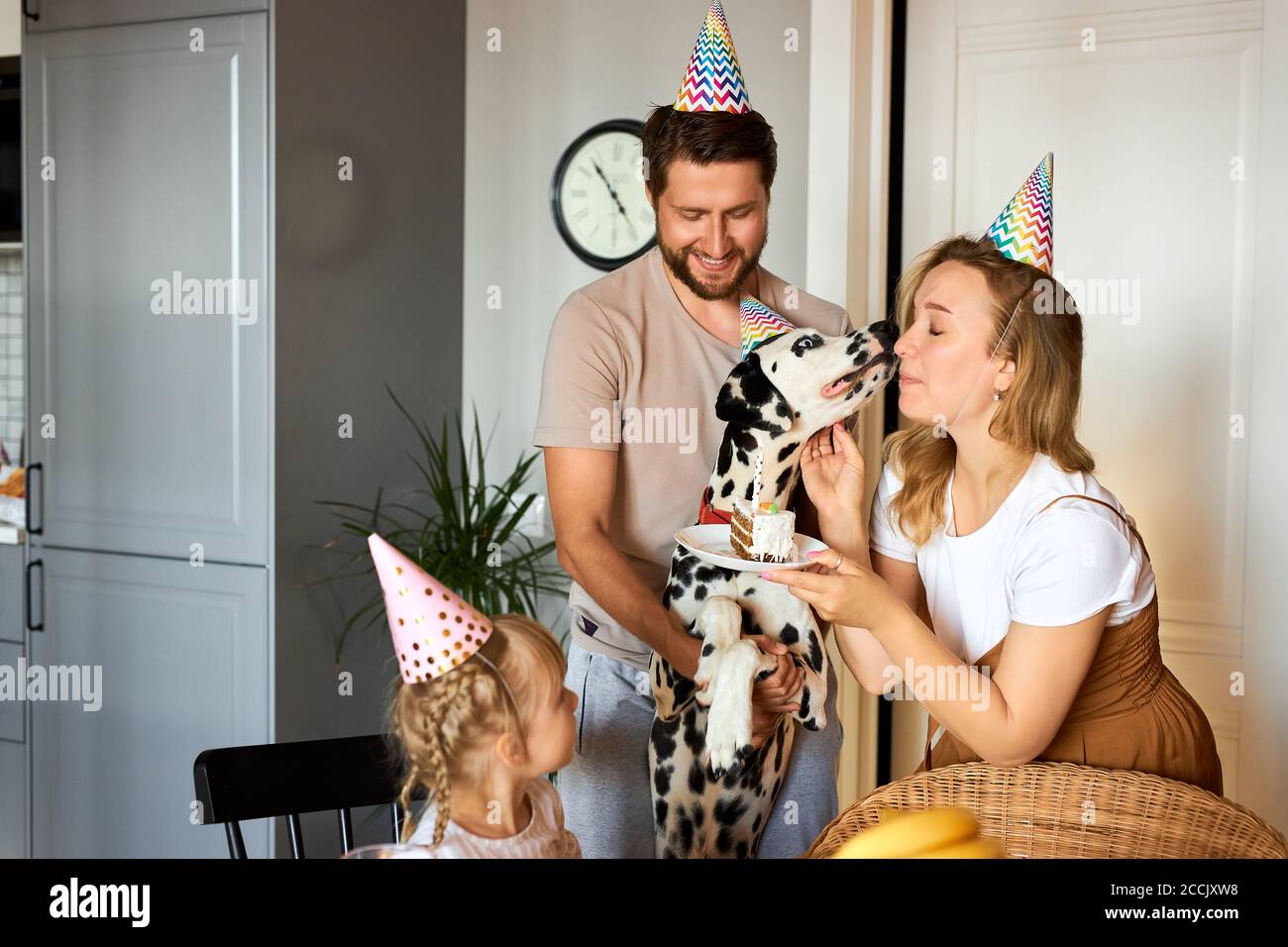 cheerful positive owners celebrate dog's birthday, they congratulate ...