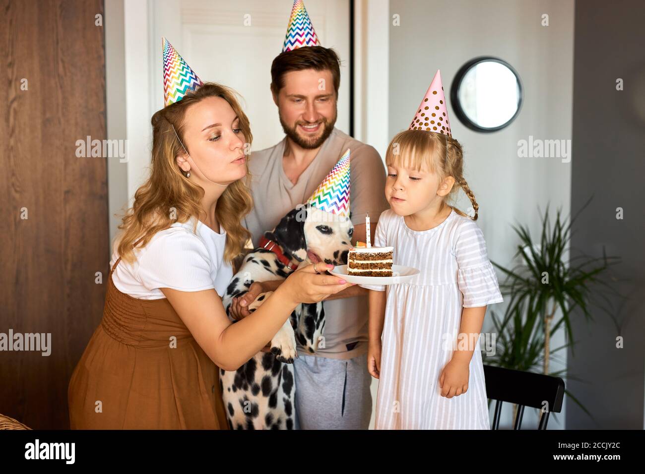 cheerful positive owners celebrate dog's birthday, they congratulate ...
