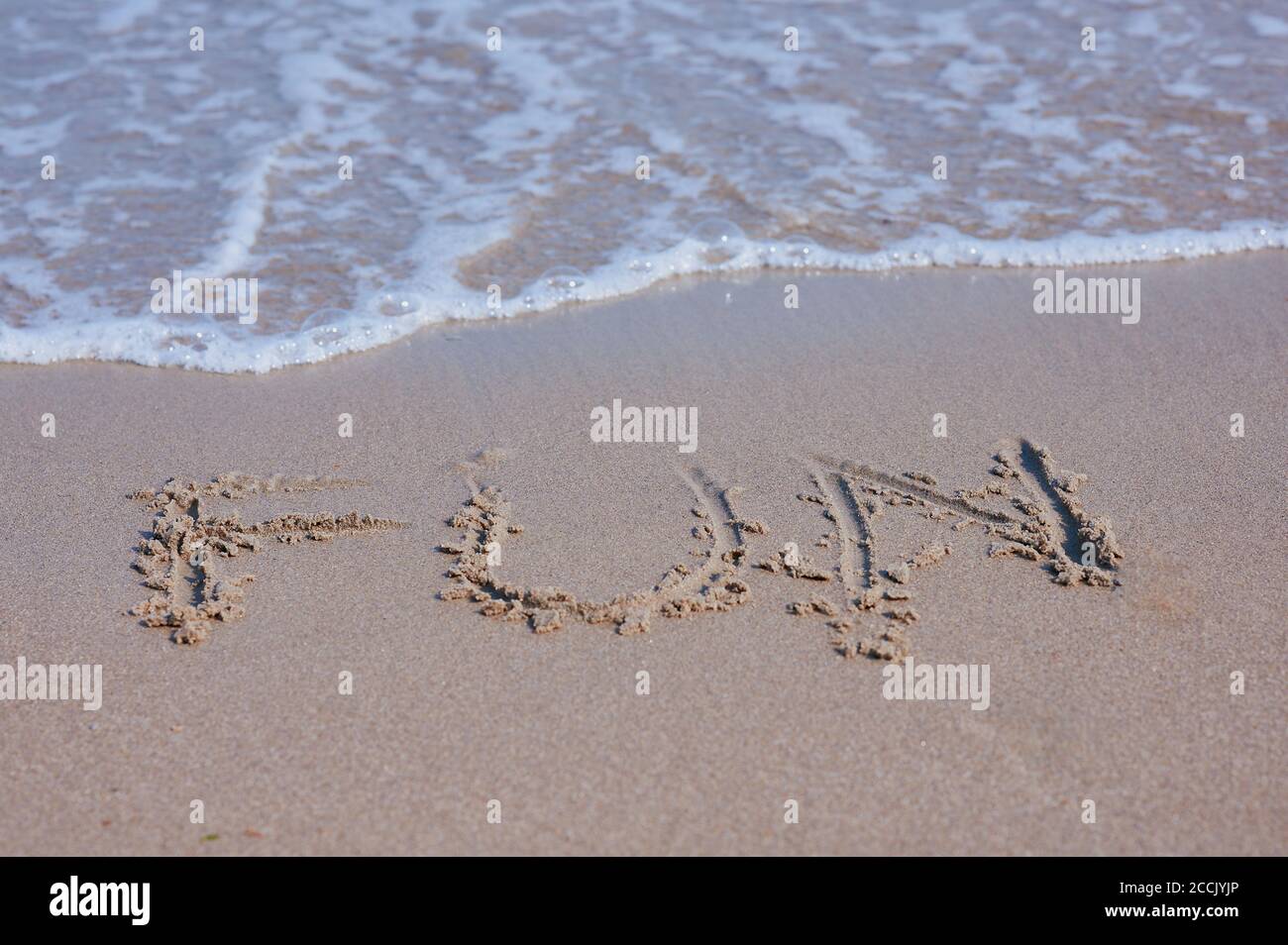 The Word Fun In The Sand