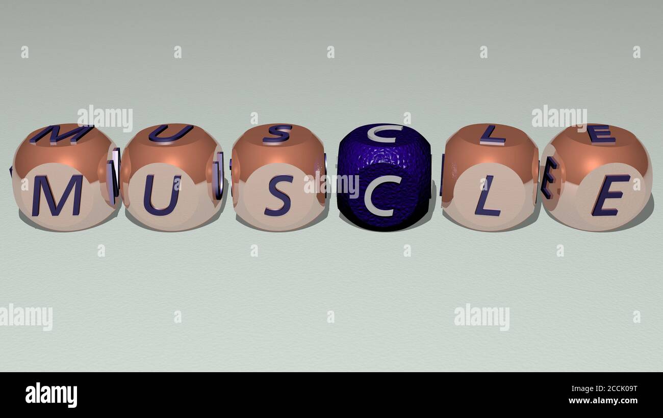 MUSCLE text by cubic dice letters, 3D illustration Stock Photo - Alamy
