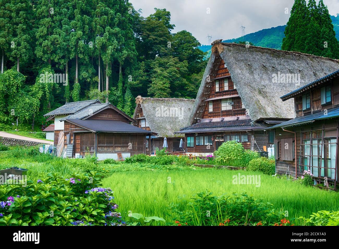 Nanto, Japan - Gassho-zukuri houses at Suganuma village, Gokayama area ...