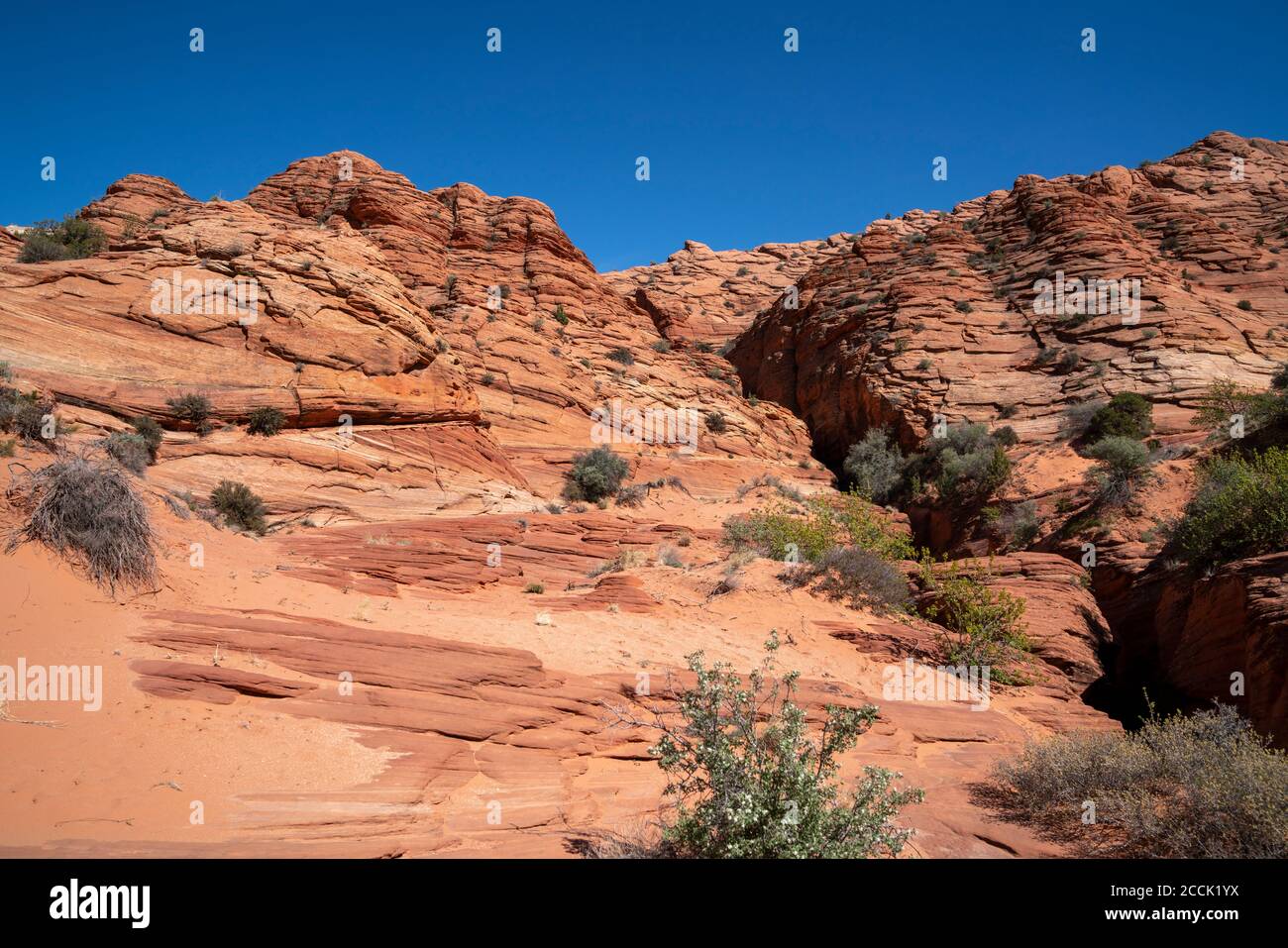 Wire Pass, Arizona Stock Photo - Alamy