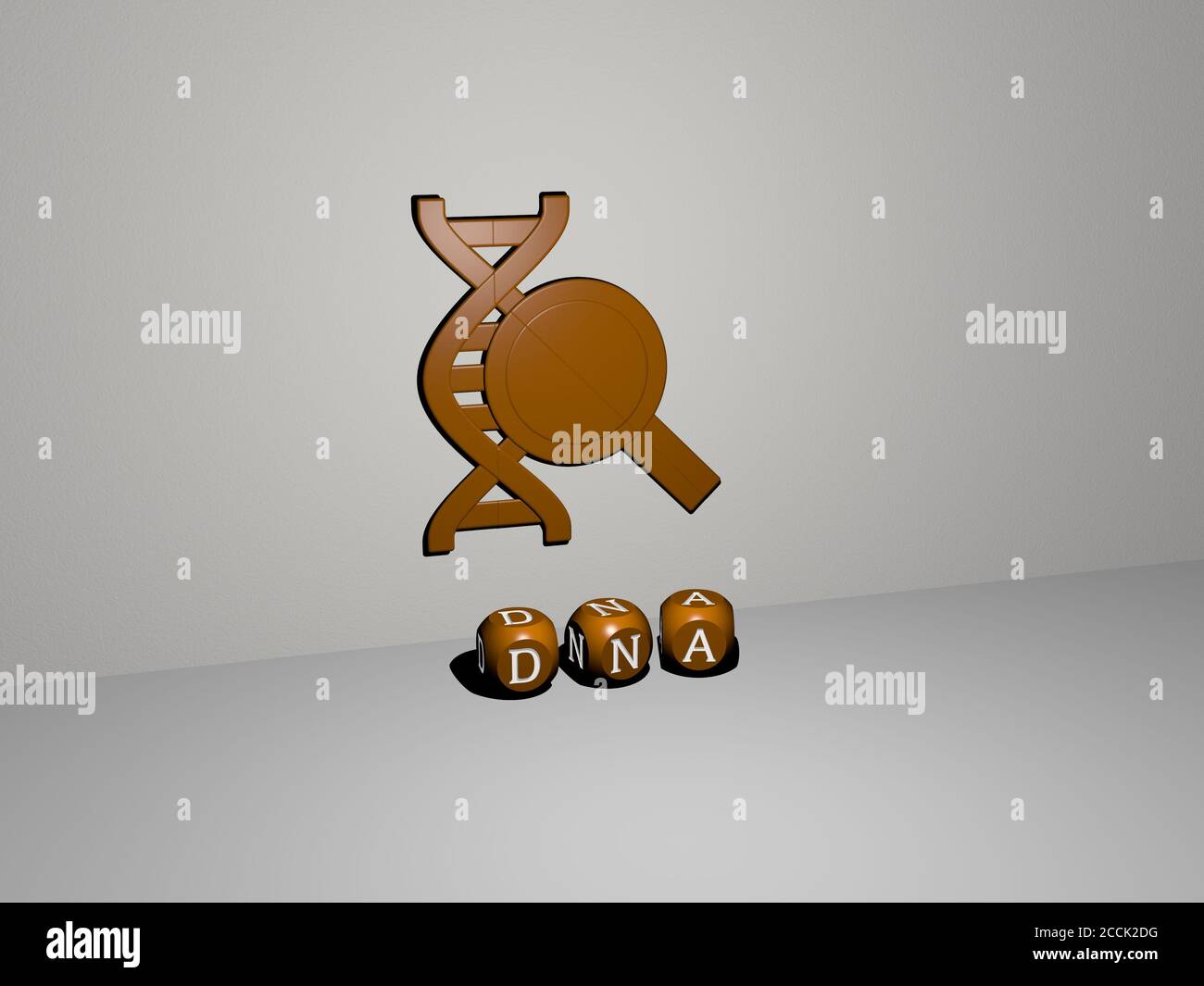 DNA 3D icon on the wall and text of cubic alphabets on the floor, 3D ...