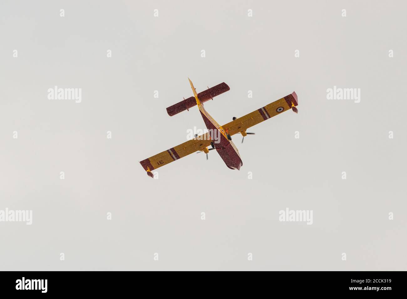 Canadair CL-415 amphibious water bomber in flight Stock Photo - Alamy