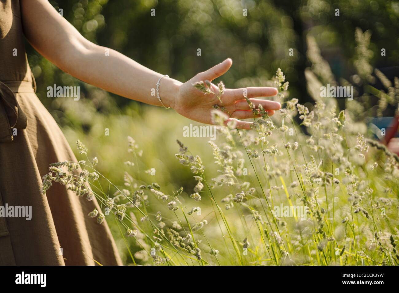 Touching grass hi-res stock photography and images - Alamy