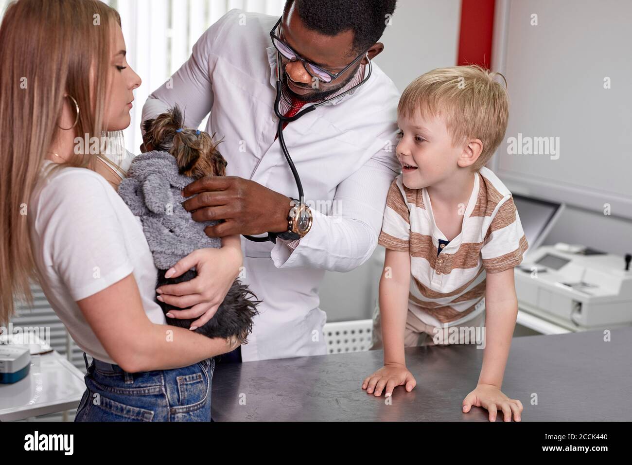 man vet examining little dog with stethoscope in clinic, black ...