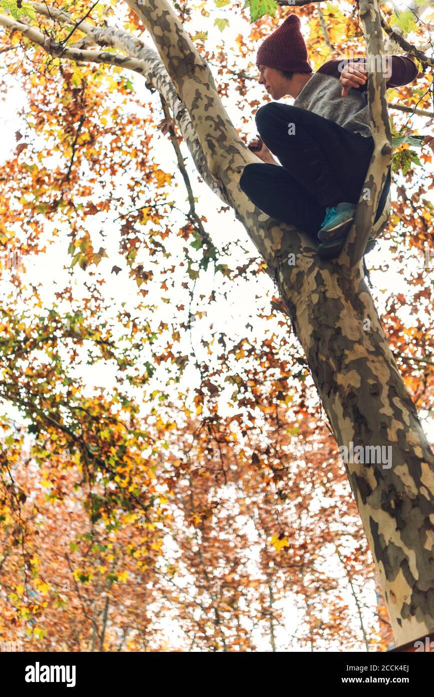 Man sitting by tree hi-res stock photography and images - Alamy