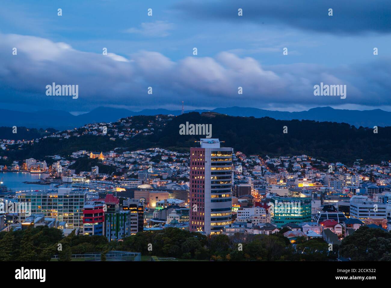 Wellington Skyline in New Zealand Stock Photo - Alamy
