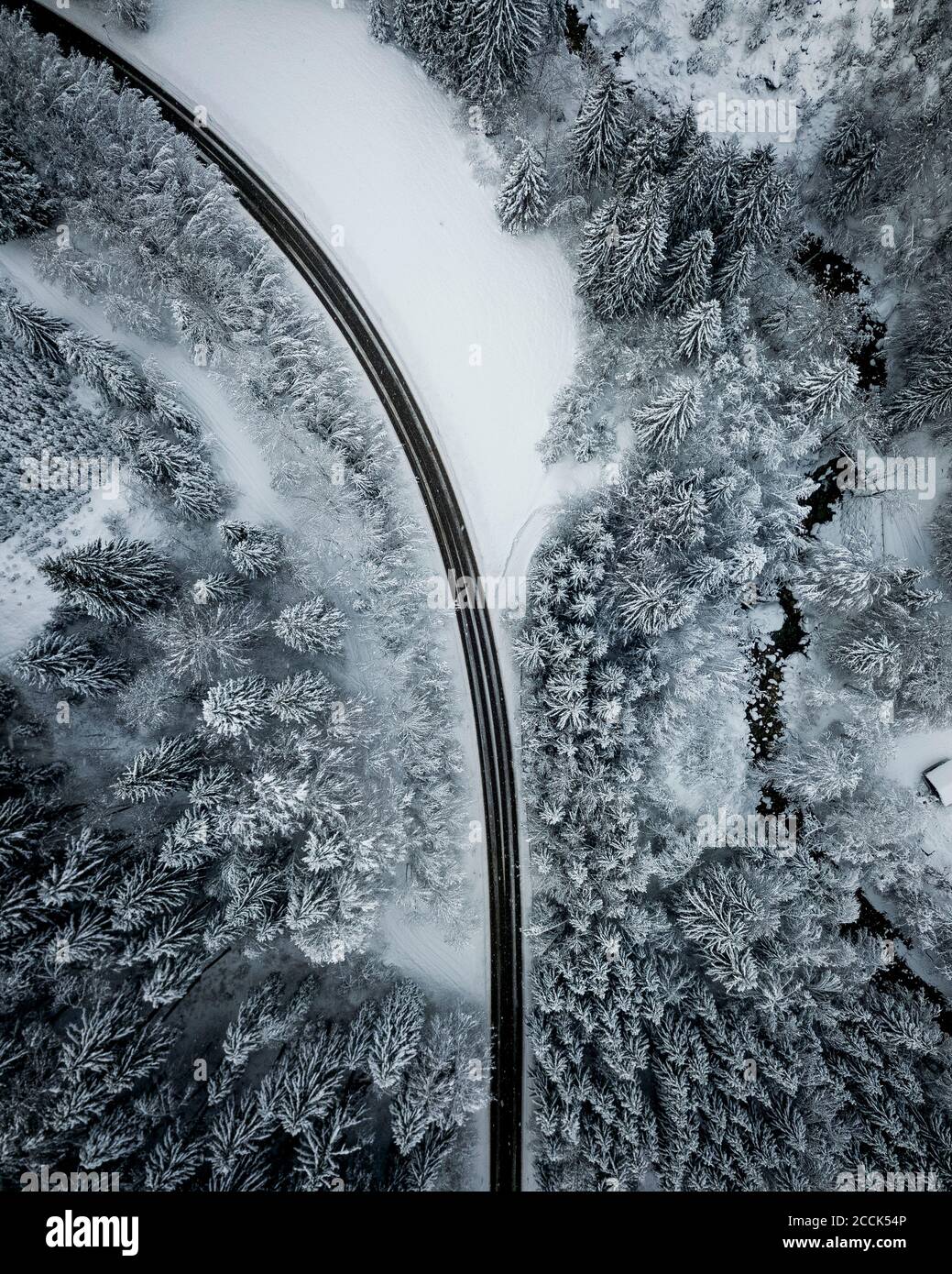 Aerial view of empty asphalt road cutting through snow-covered forest ...