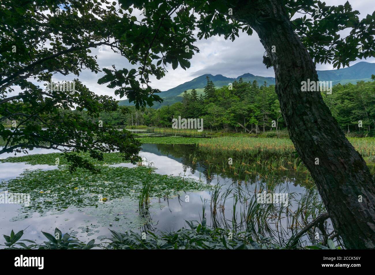 Ainu Hokkaido Japan High Resolution Stock Photography and Images - Alamy