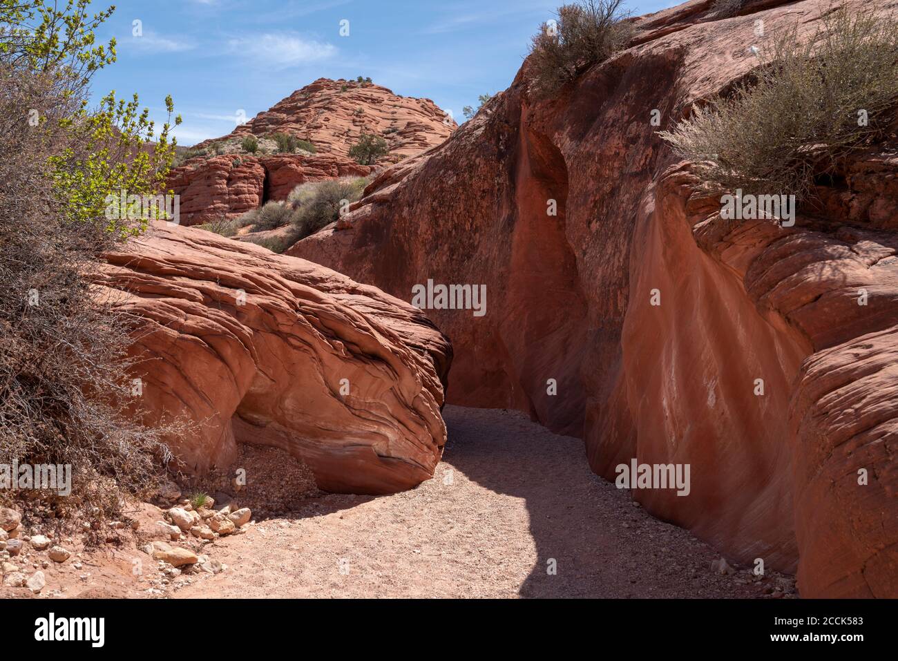 Wire Pass, Arizona Stock Photo - Alamy