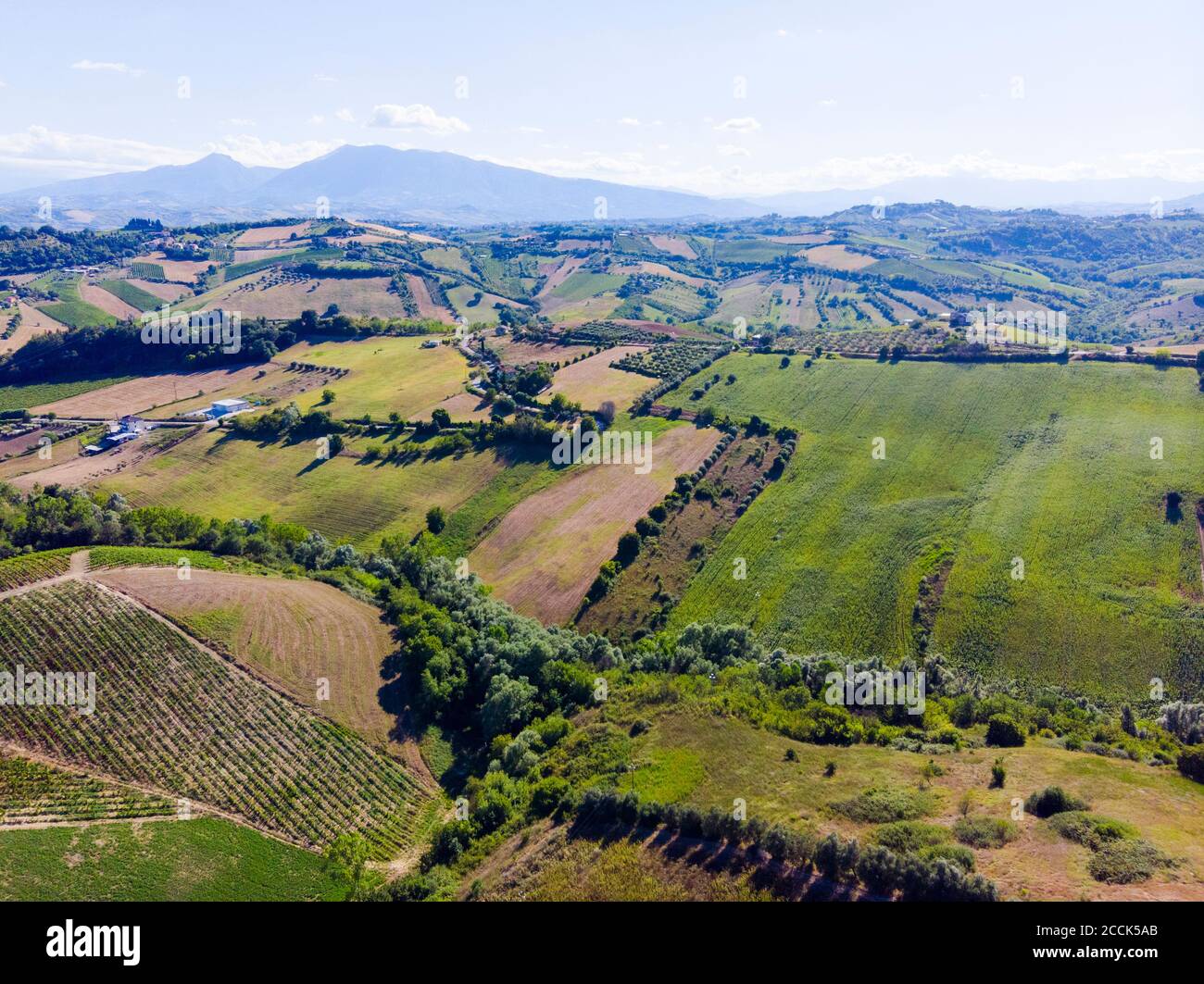 Italy, Marche, Aerial view of green countryside landscape in summer ...