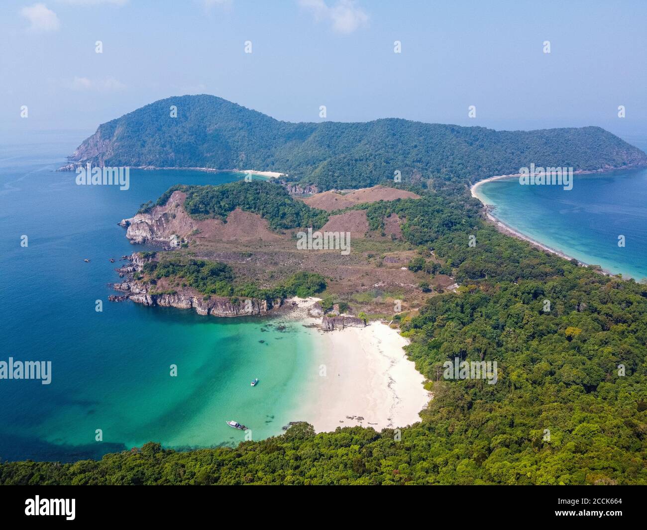 Smart birds hi-res stock photography and images - Alamy