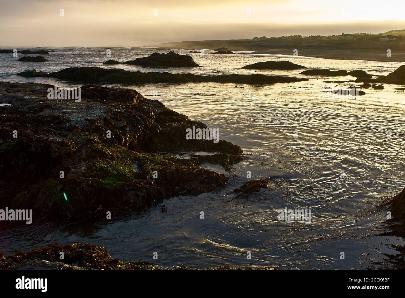 morning light over the coast at fort bragg california Stock Photo - Alamy