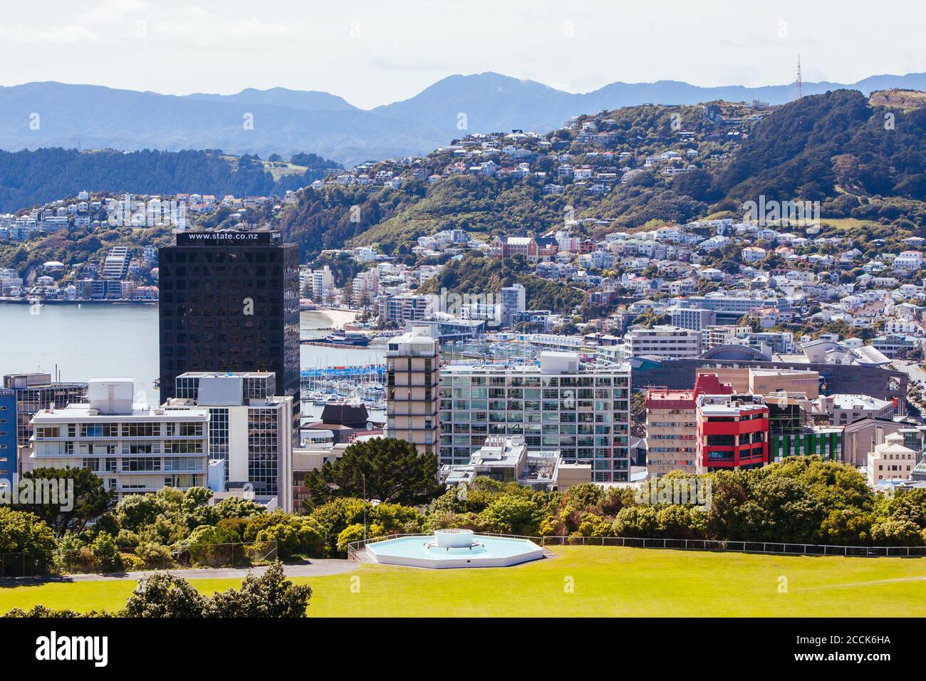 Bay oval new zealand hi-res stock photography and images - Alamy