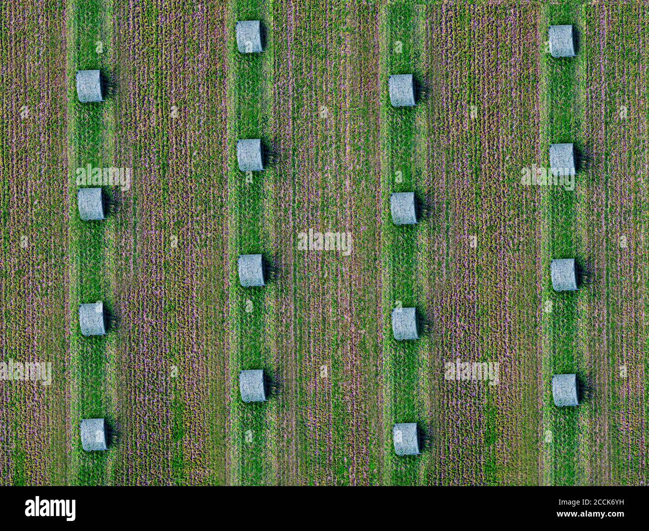 Aerial view rows green hi-res stock photography and images - Alamy