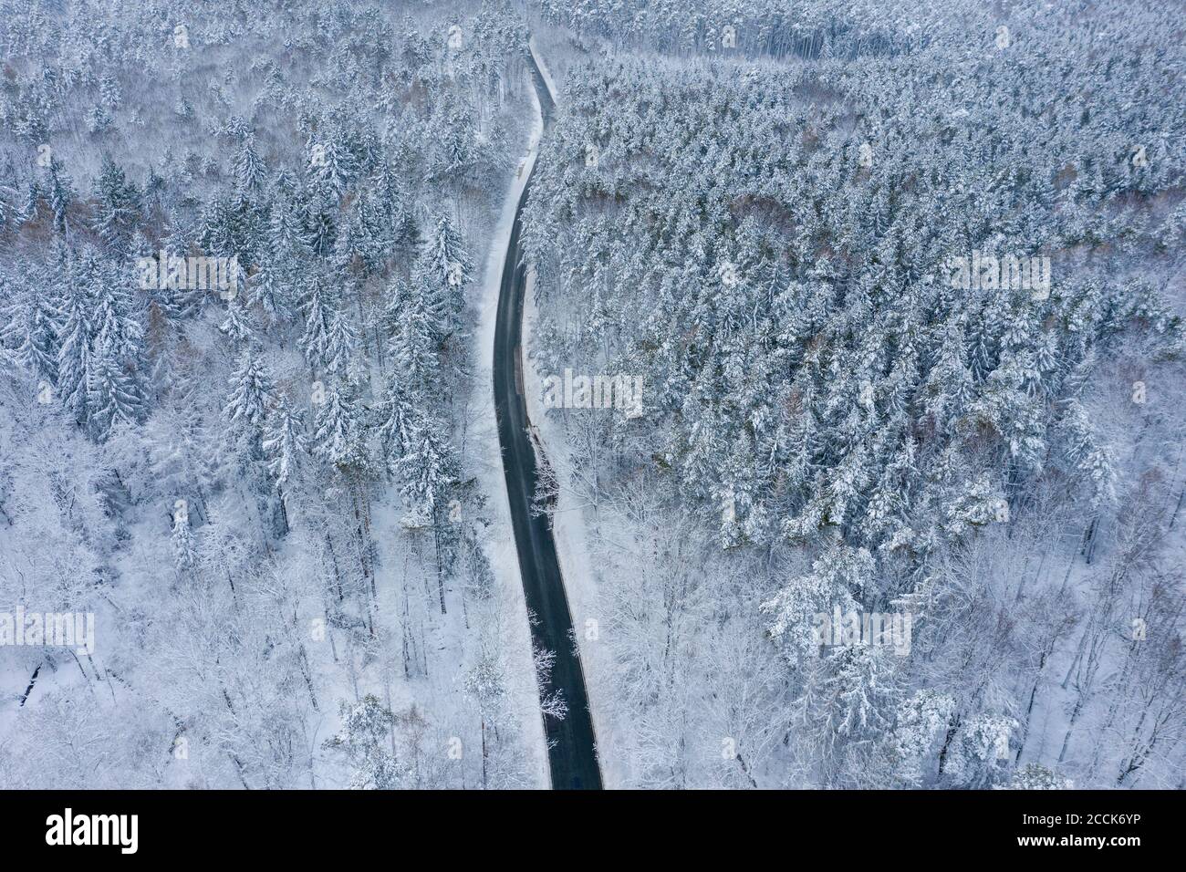 Drone view of asphalt road cutting through snow-covered forest in ...
