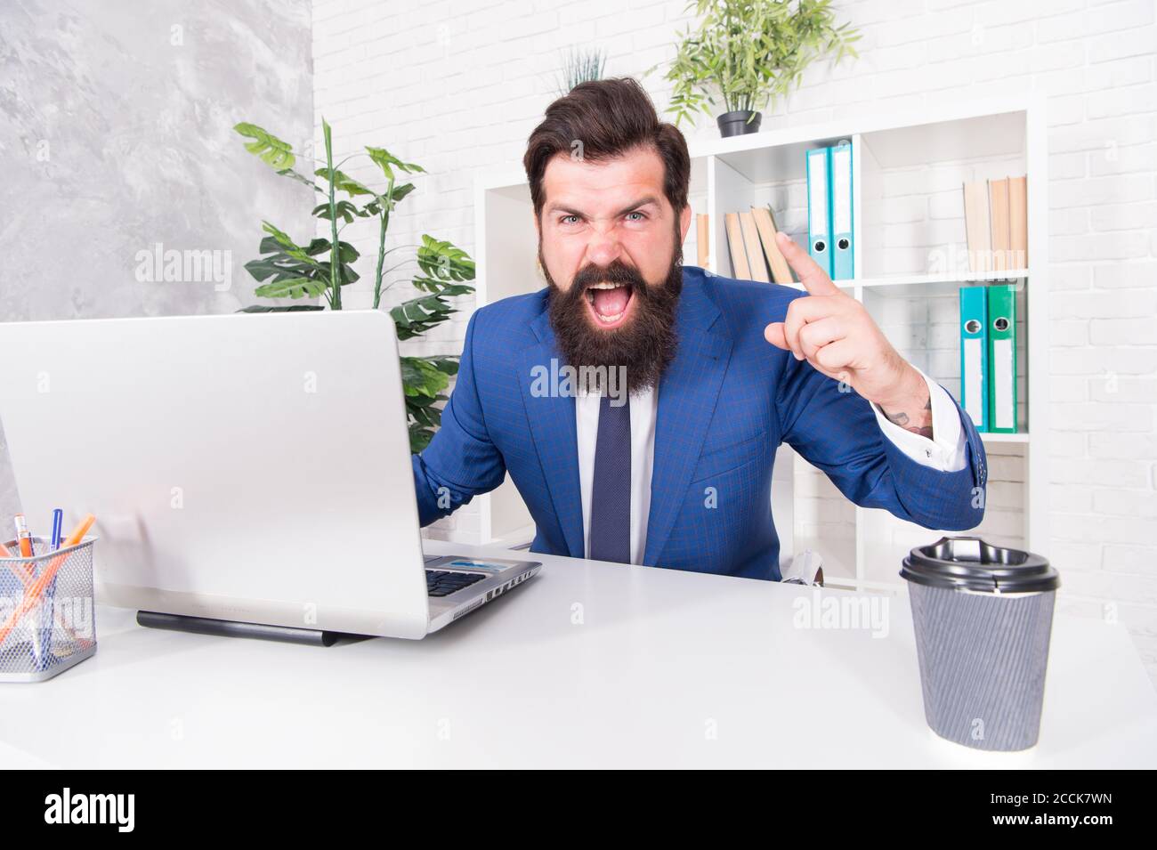 Man confident director work online laptop modern office, earn money ...