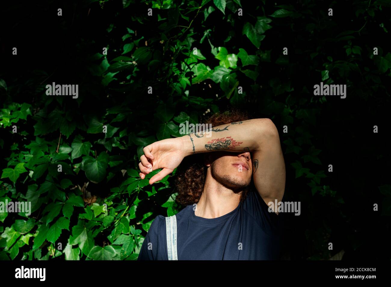 Young man hiding face while standing against plants Stock Photo - Alamy Young man hiding face while standing against plants Stock Photo - Alamy
