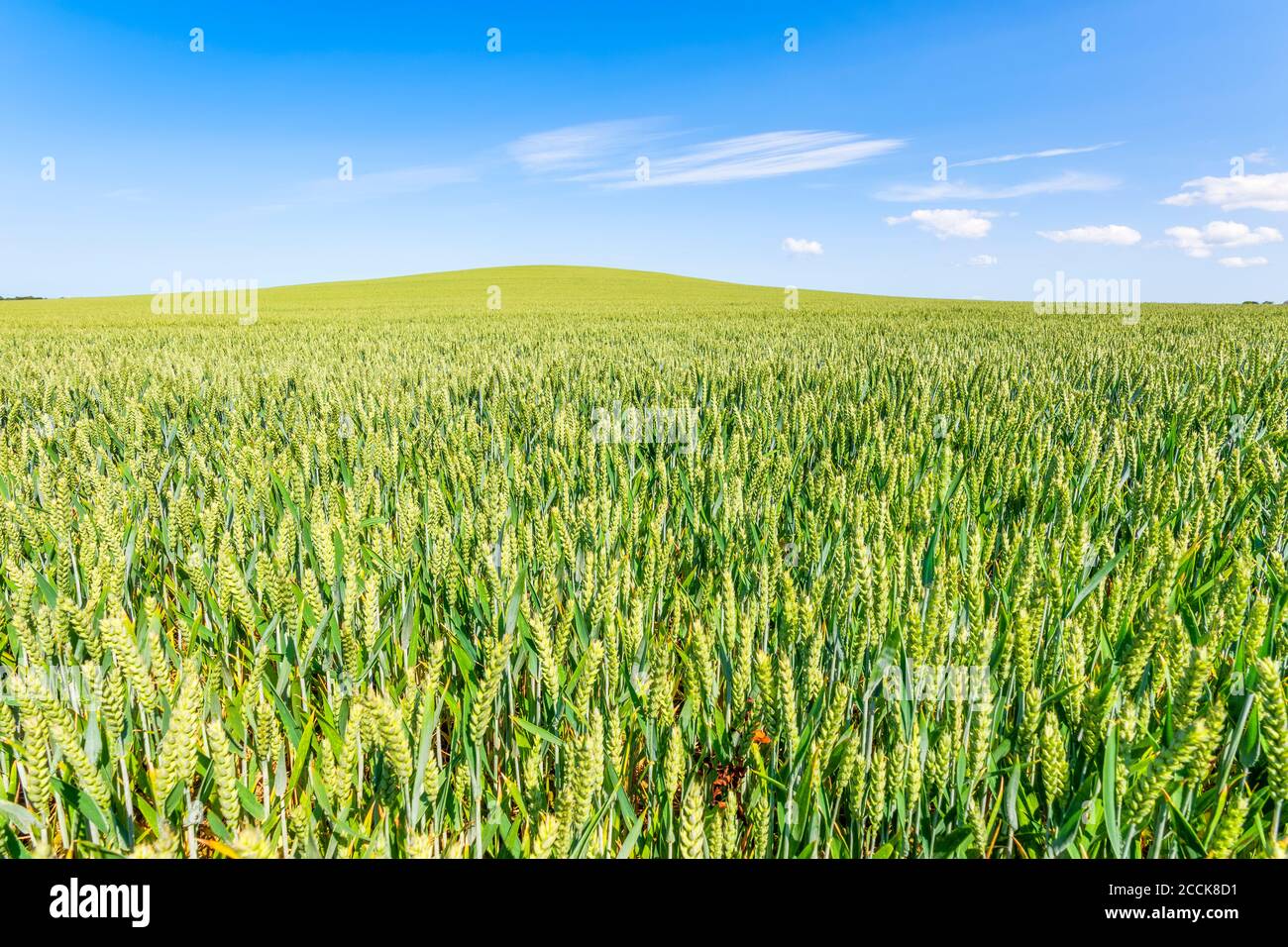 Vast grass field hi-res stock photography and images - Alamy