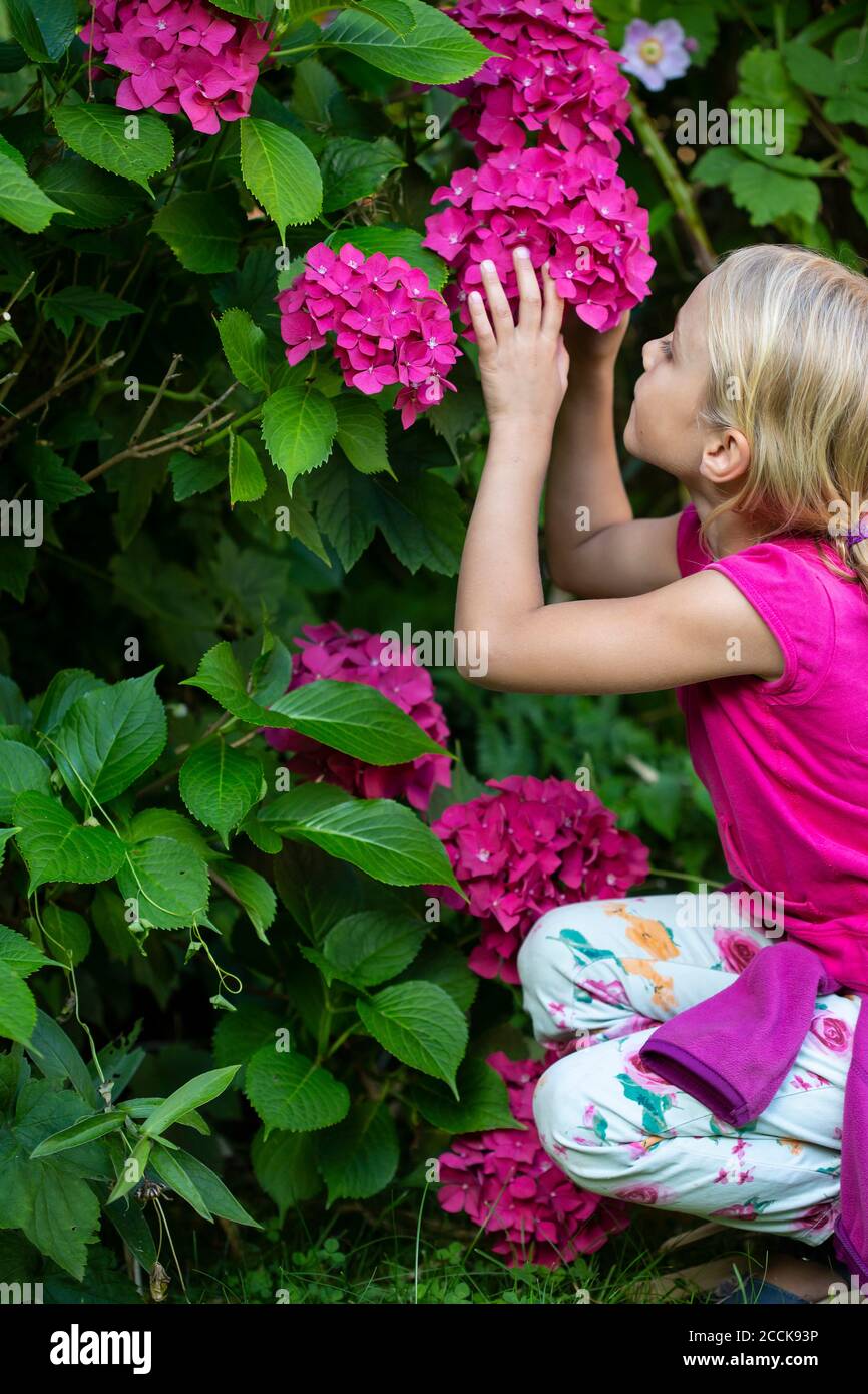 Cute little girl looking at flowers in garden Stock Photo - Alamy