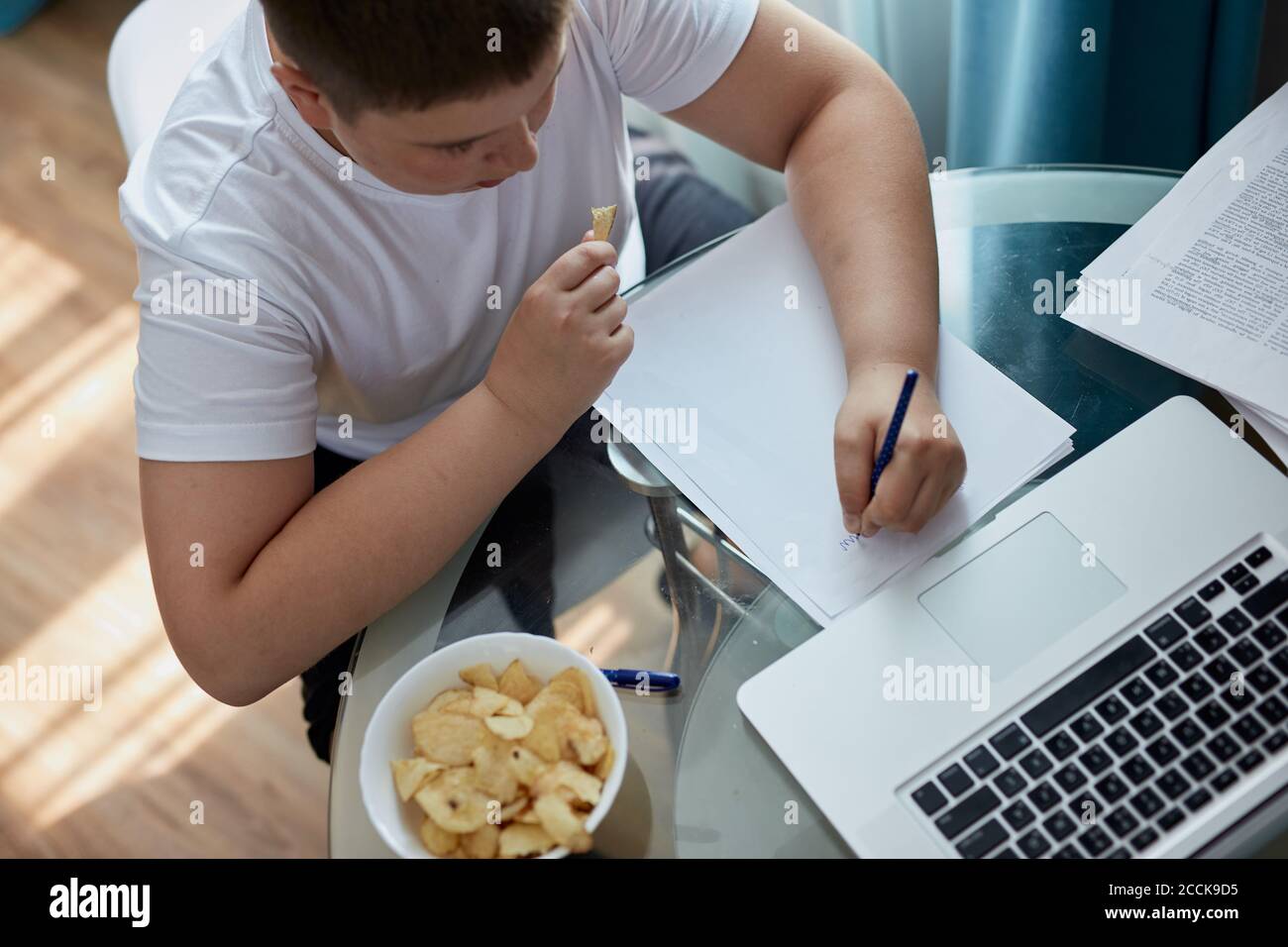 fat overweight boy eat junk food while doing homework, young caucasian ...
