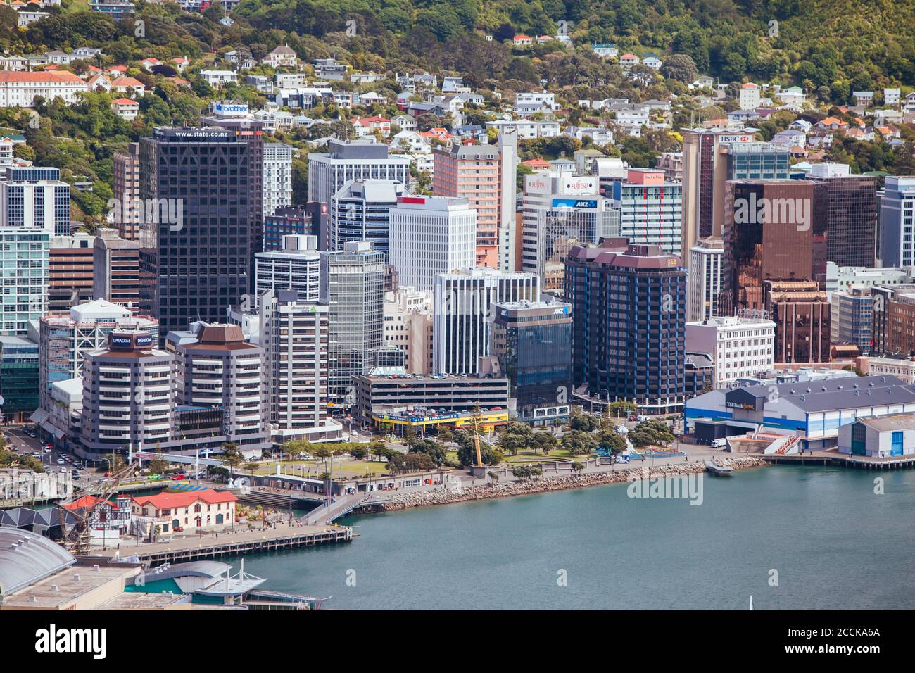 Wellington New Zealand Skyline New Zealand Wellington Streets Of The