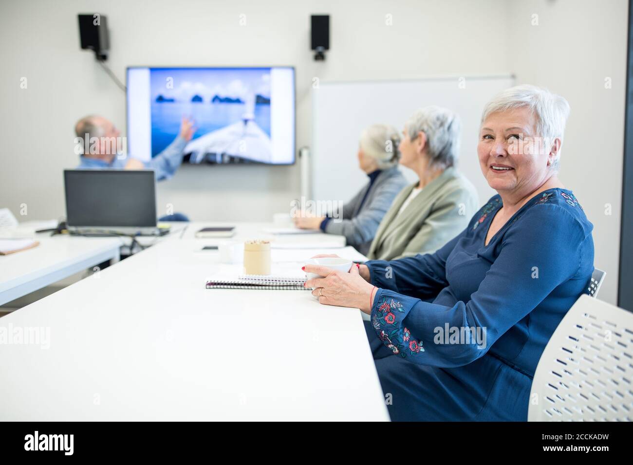 Group of active seniors attending seniors education course Stock Photo ...