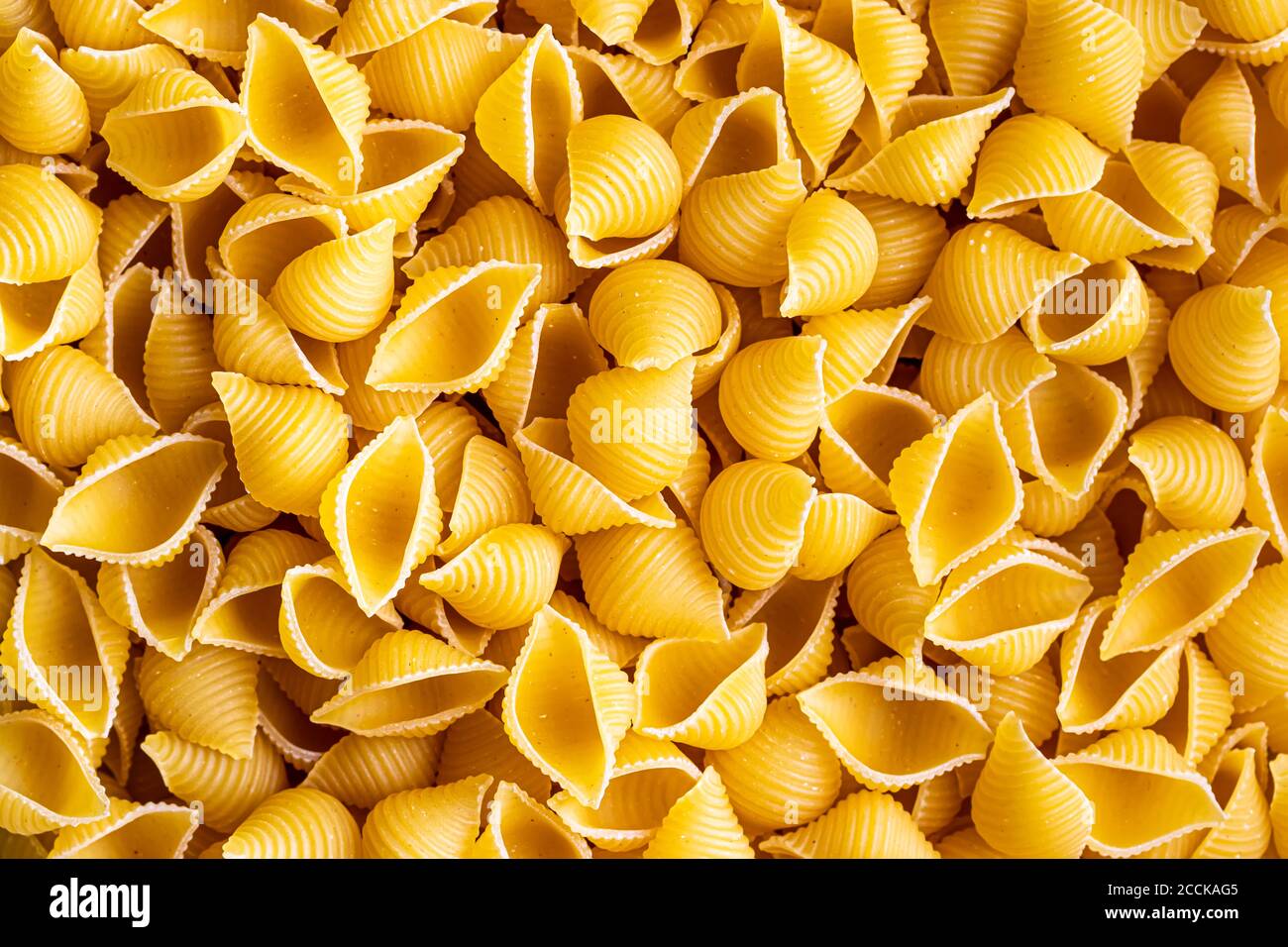 Colorful italian pasta conchiglie abstract backdrop. Traditional food ...