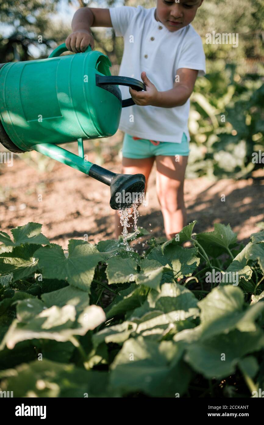 Watering crops hi-res stock photography and images - Alamy