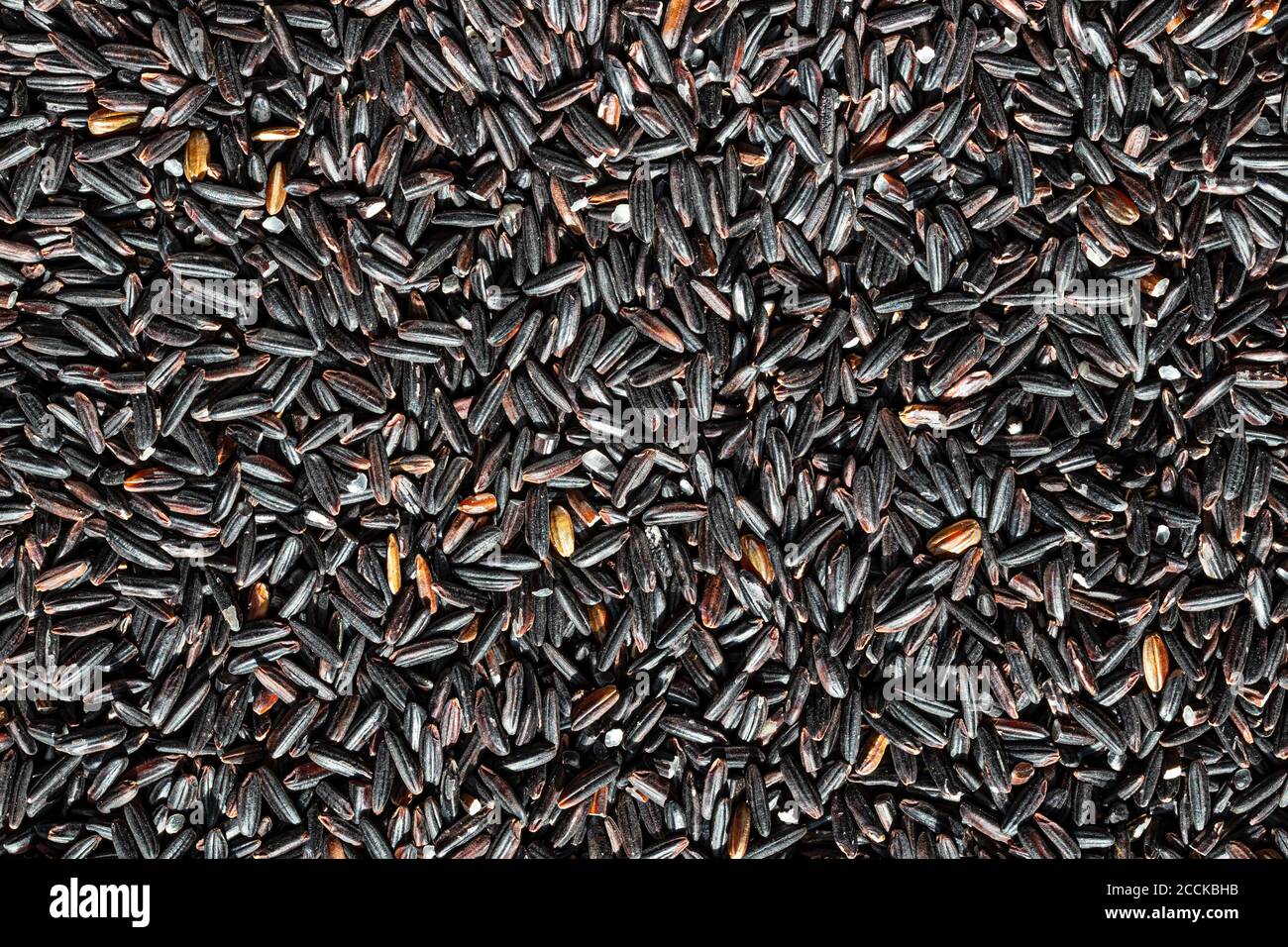 Black wild rice grains background or texture. Gluten-Free and healthy ...