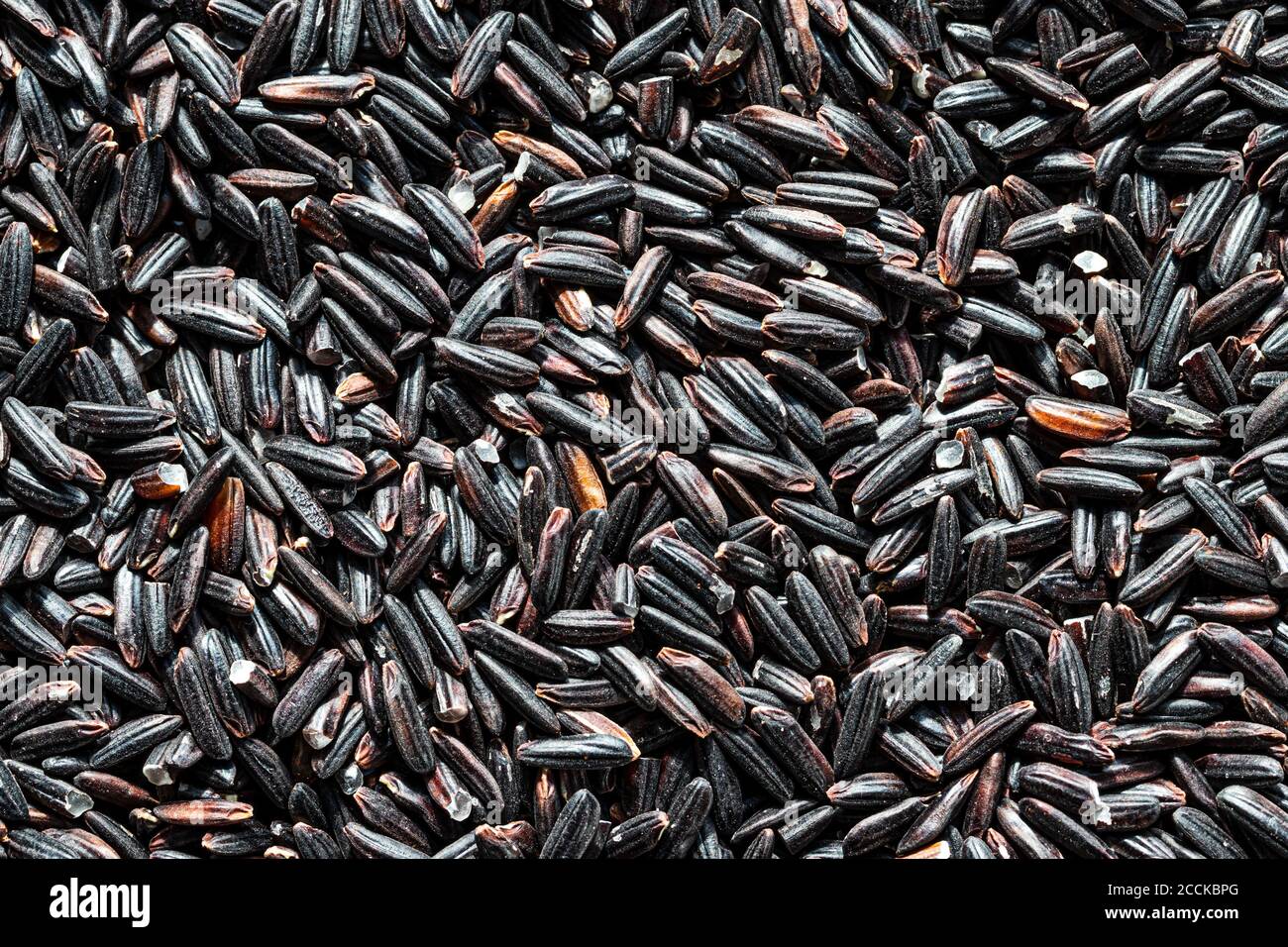 Black wild rice grains background or texture. Gluten-Free and healthy ...